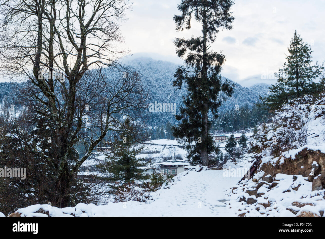 Haa Valley, Bhutan Stock Photo - Alamy