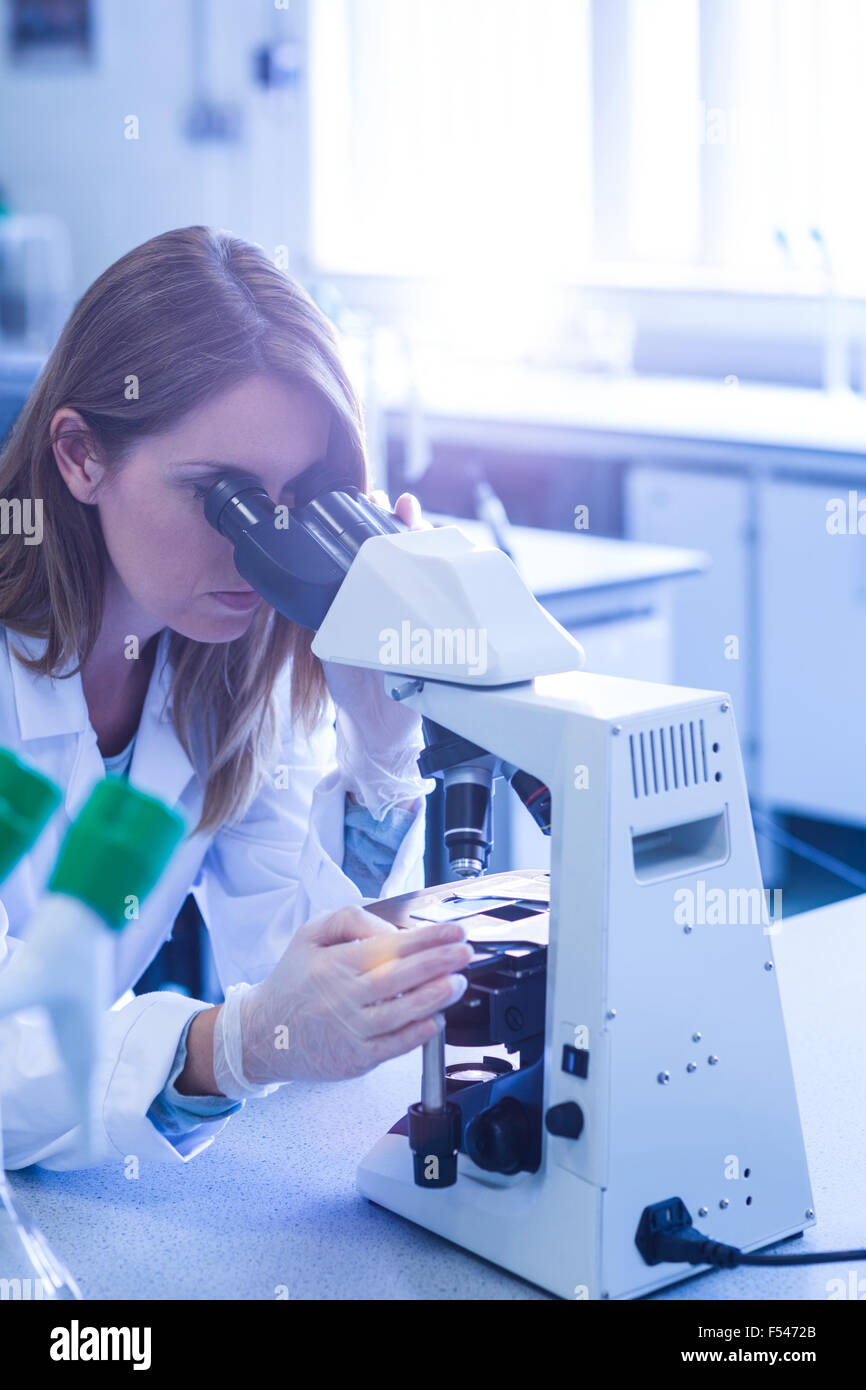 Scientist working with a microscope in laboratory Stock Photo - Alamy