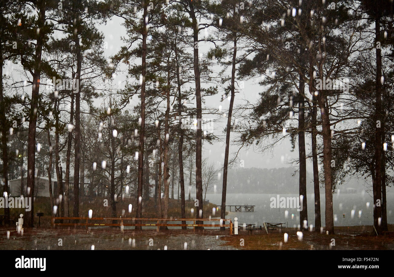 Rain falling in the woods by the lake Stock Photo - Alamy