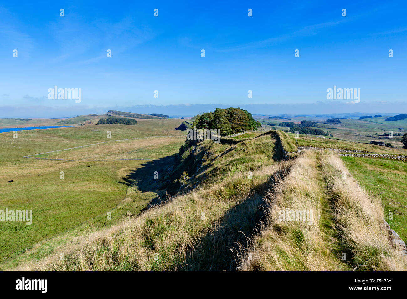Hadrian's Wall near Housesteads Roman Fort, Northumberland, England, UK ...