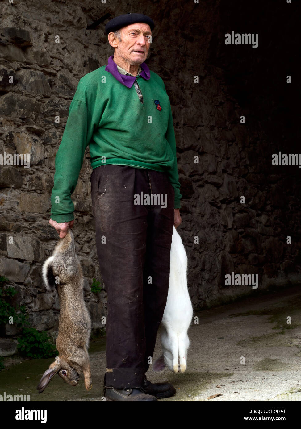 Dead rabbits hi-res stock photography and images - Alamy