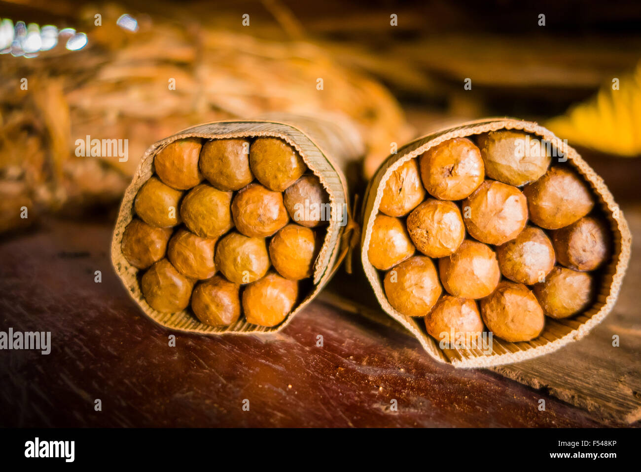 Handmade cigar live preparation, artisan made and packed Stock Photo ...