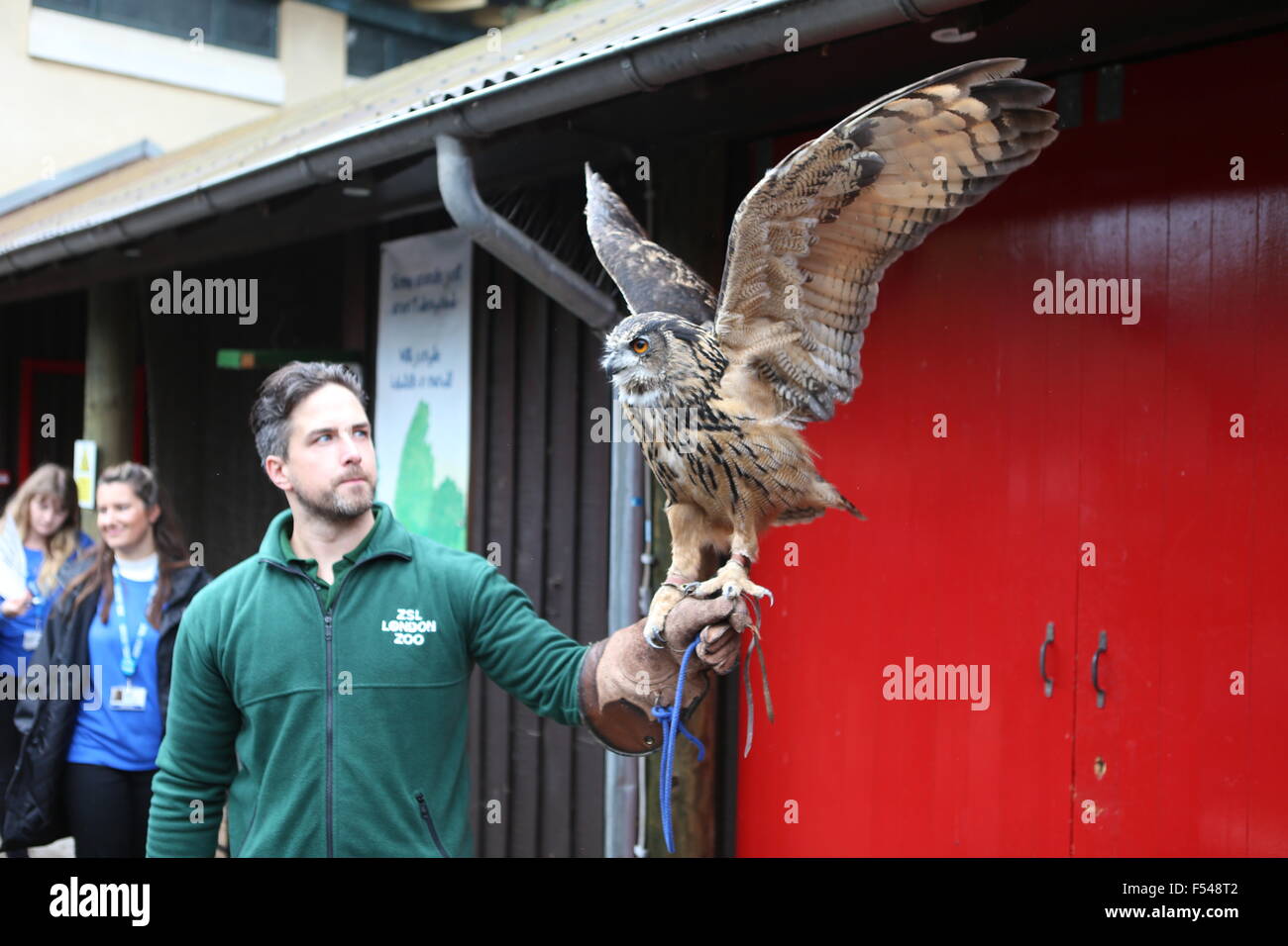 Animals annual weigh in at ZSL London Zoo Featuring: Eagle Owl Where ...