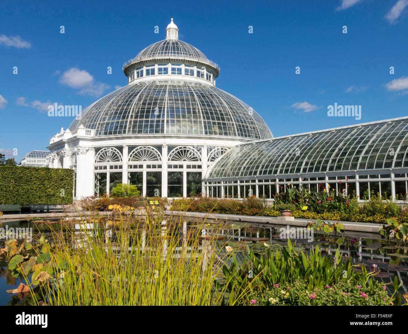 Victorian conservatory glass hi-res stock photography and images - Alamy