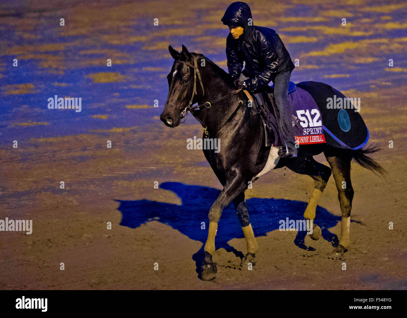 Lexington, Kentucky, USA. 27th Oct, 2015. October 27, 2015 : Limousine ...