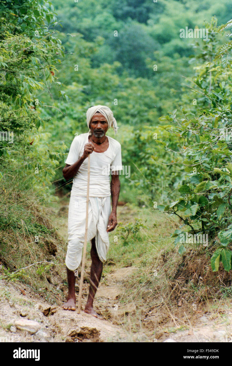 Proud man on a path of rain forest conservation area run in conjunction ...