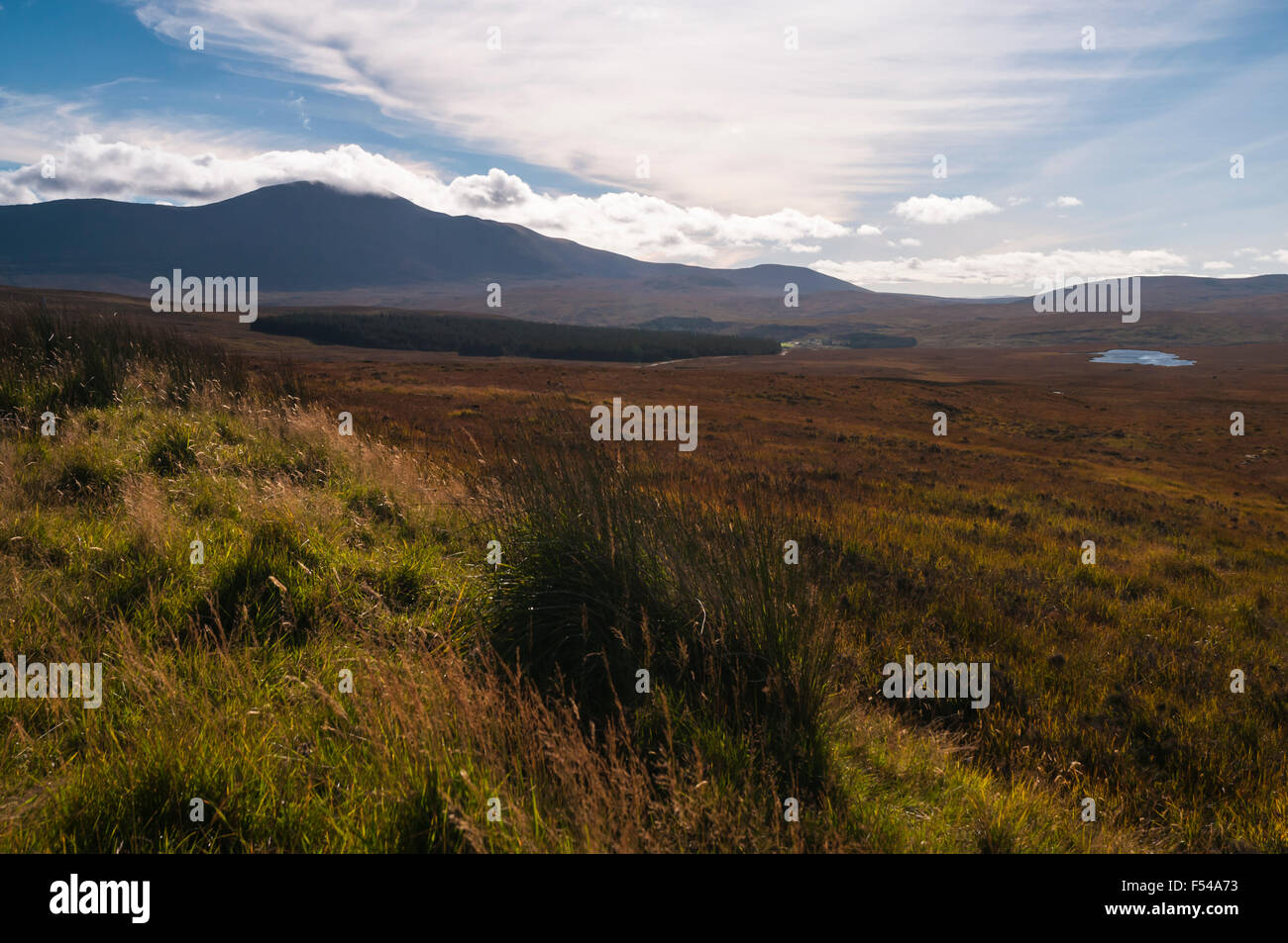 Altnaharra hi-res stock photography and images - Alamy