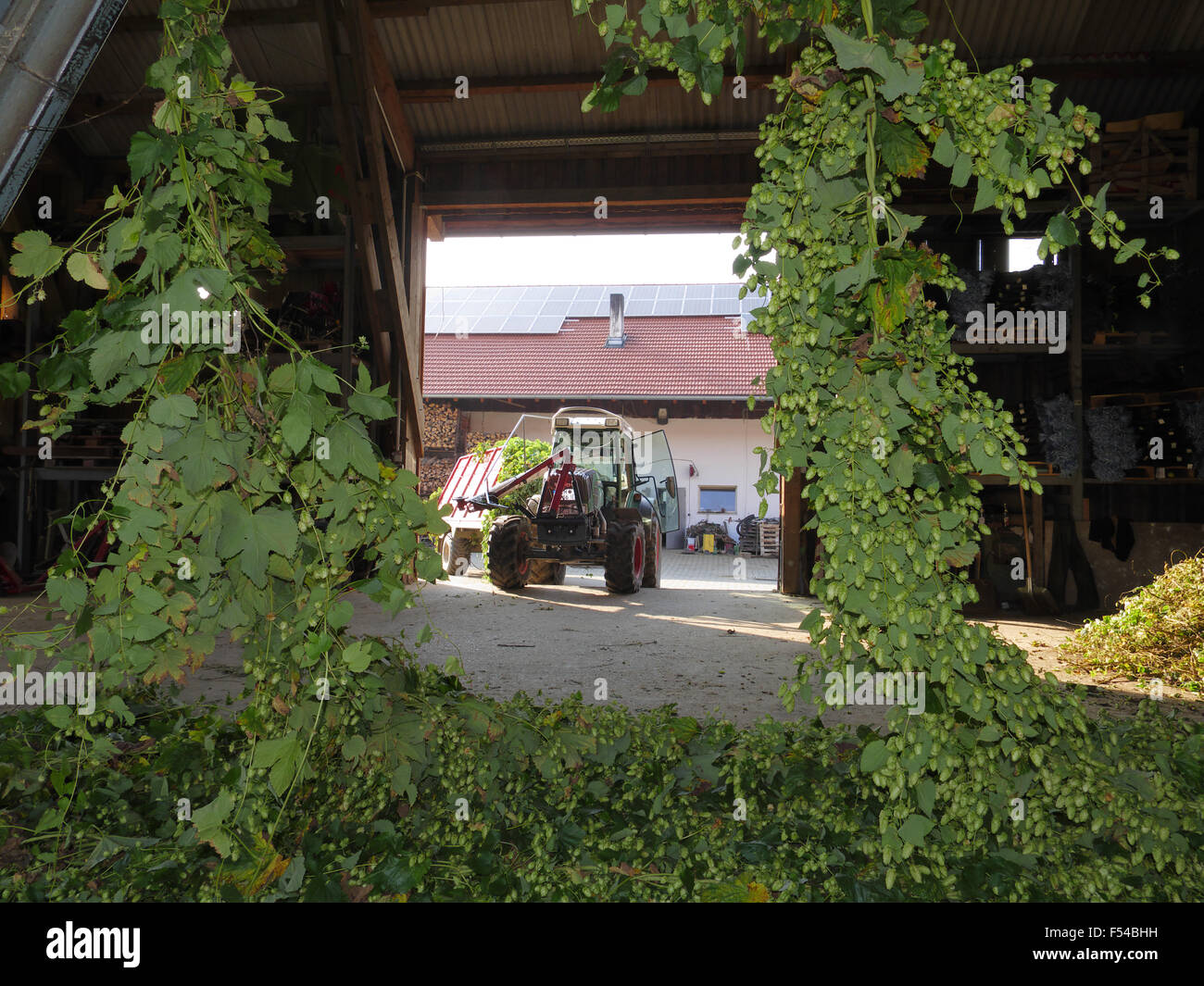 Hop picking machine hi-res stock photography and images - Alamy