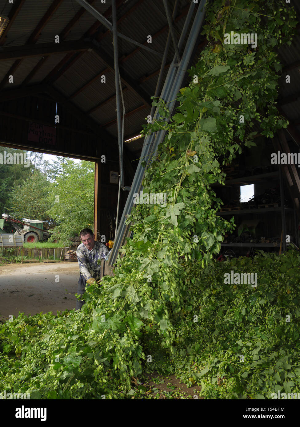 Hop picking machine hi-res stock photography and images - Alamy