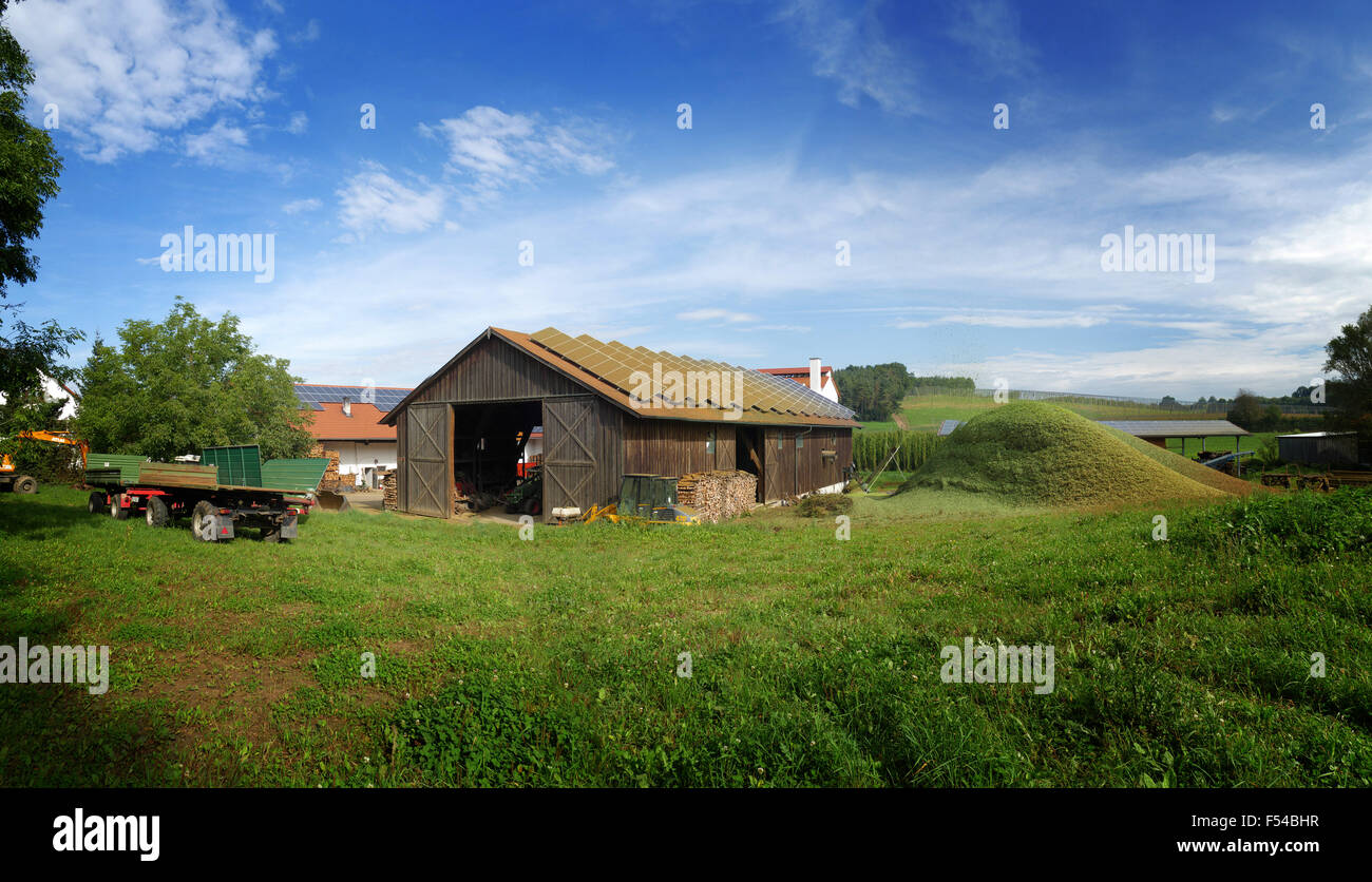 Germany Bavaria Harvested Hops waste rest as Fertilizer dung compost ...