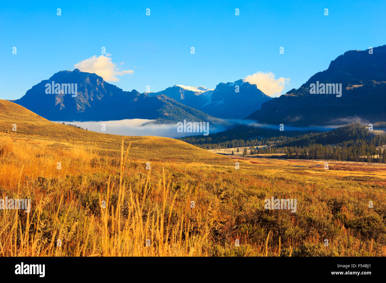 Mountain landscape - peaks and valley, Yellowstone National Park Stock ...