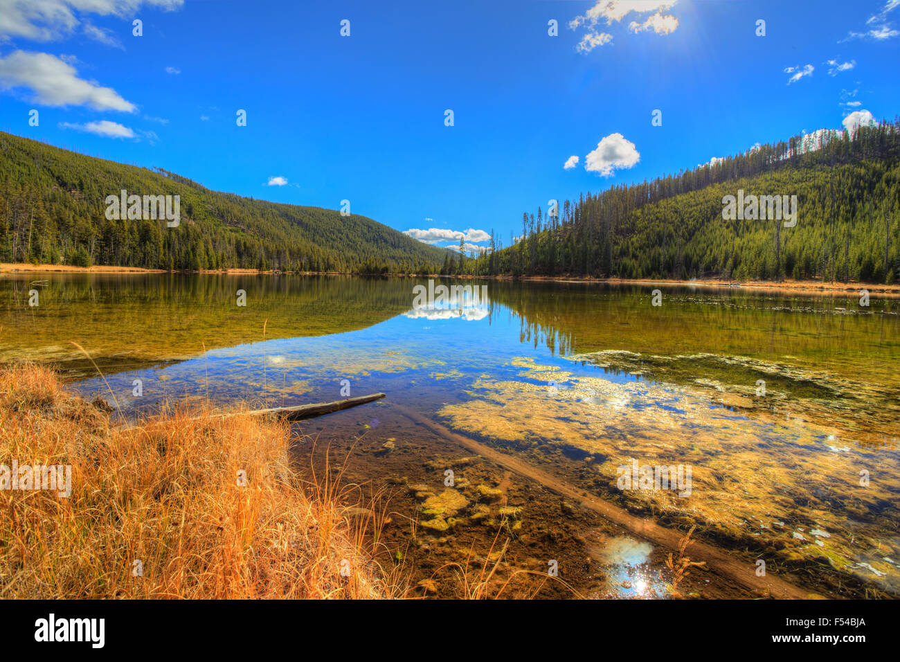 Landscape wilderness with lake, Yellowstone National Park Stock Photo ...