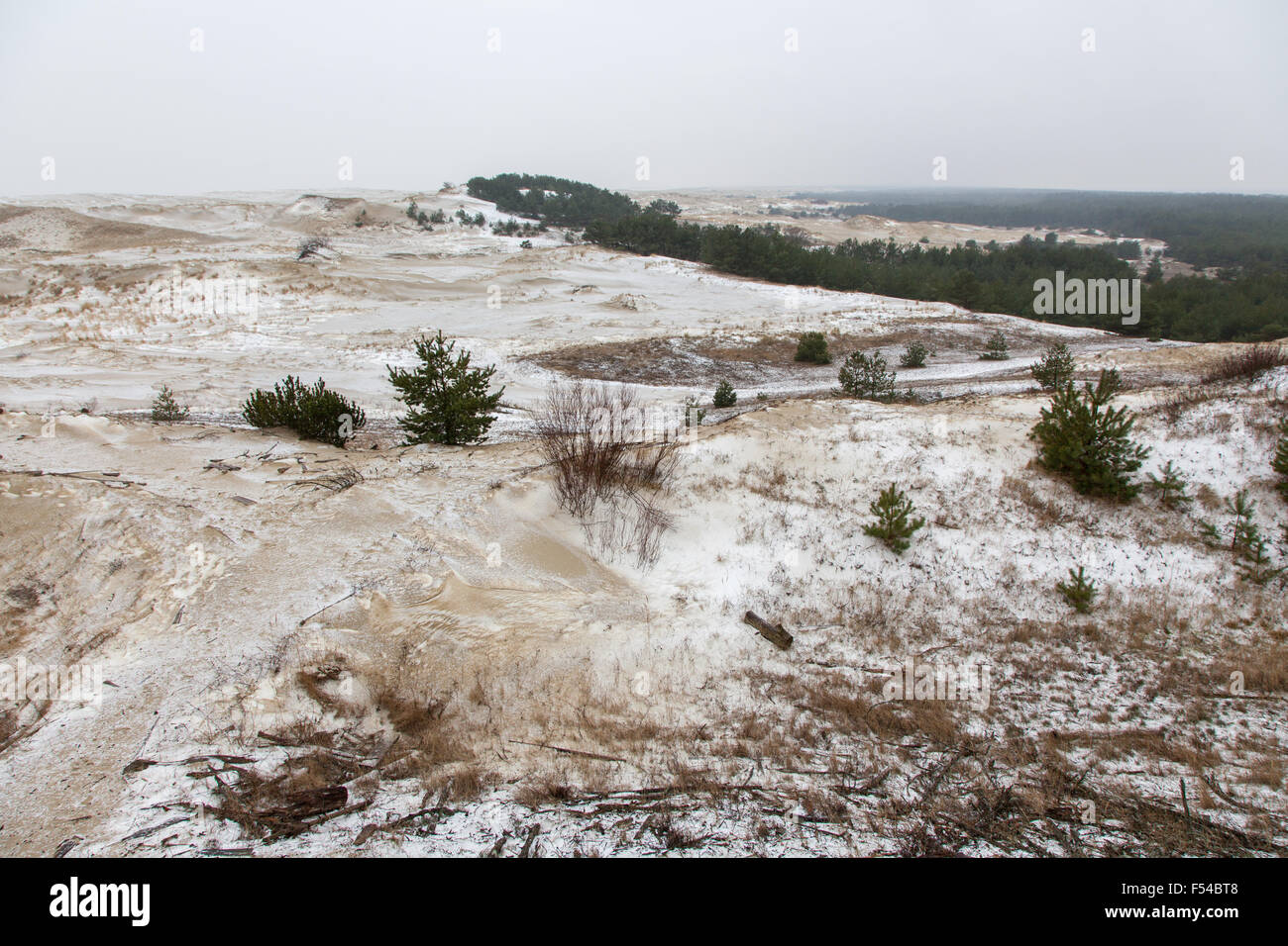 Snow covered sand dunes Stock Photo - Alamy