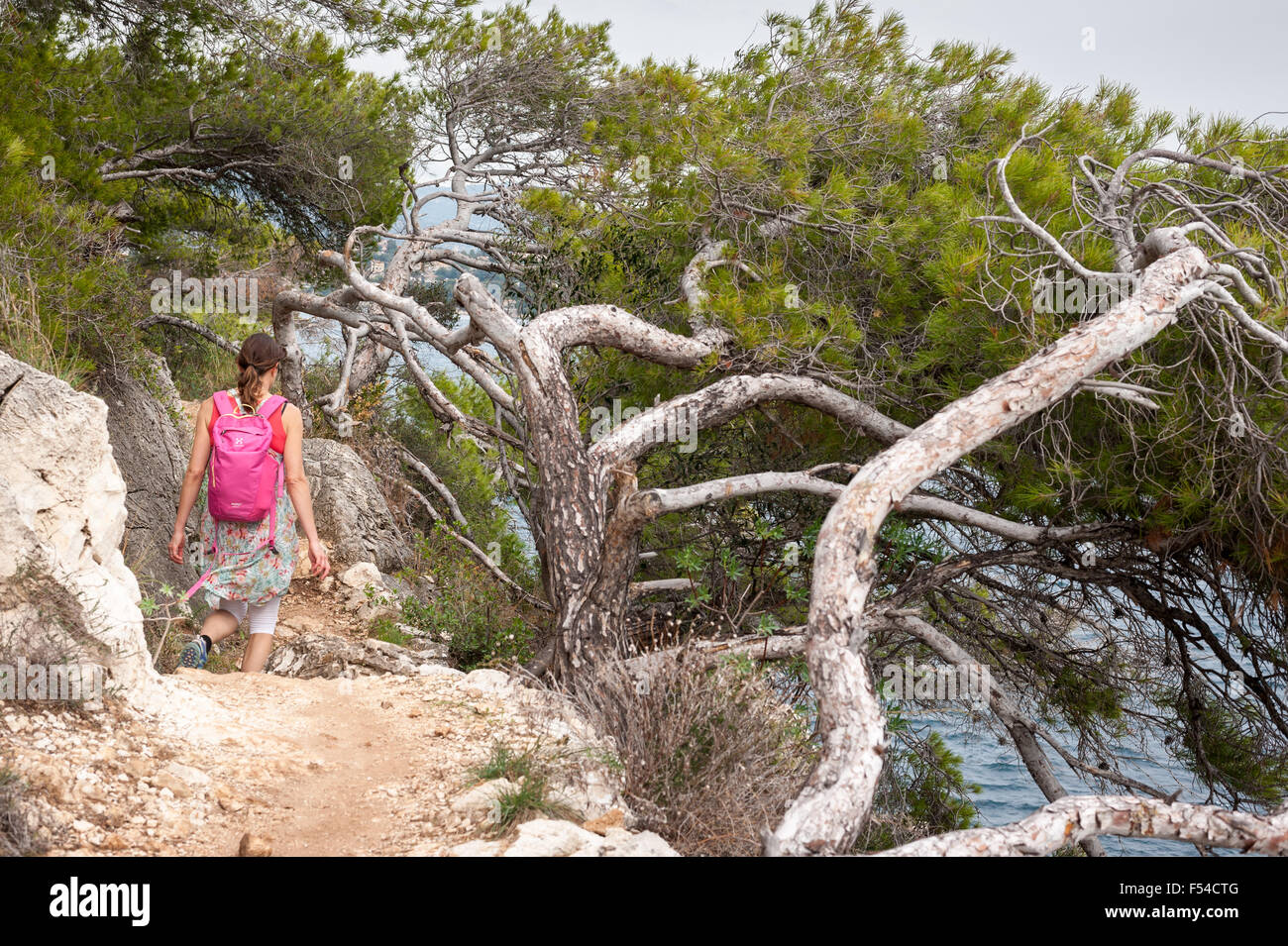 Person walking on a coastal path (sentier littoral) from Nice towards ...