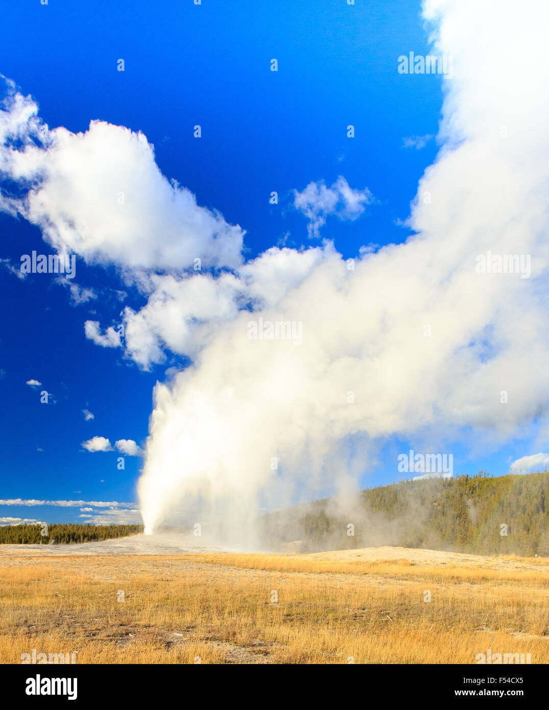 Old Faithful geyser landscape, Yellowstone National Park Stock Photo ...