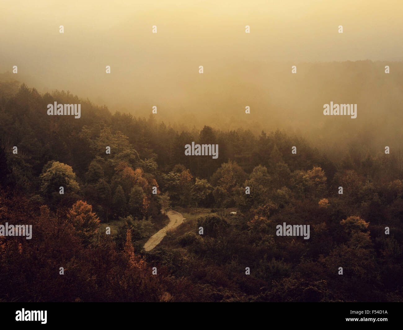 Autumn sidewalk sunlight hi-res stock photography and images - Alamy