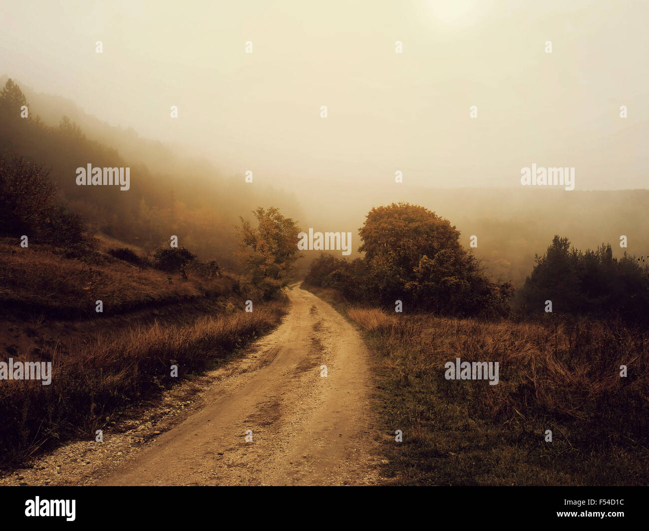 Autumn sidewalk sunlight hi-res stock photography and images - Alamy