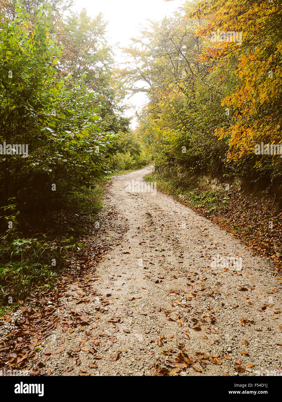 Autumn sidewalk sunlight hi-res stock photography and images - Alamy