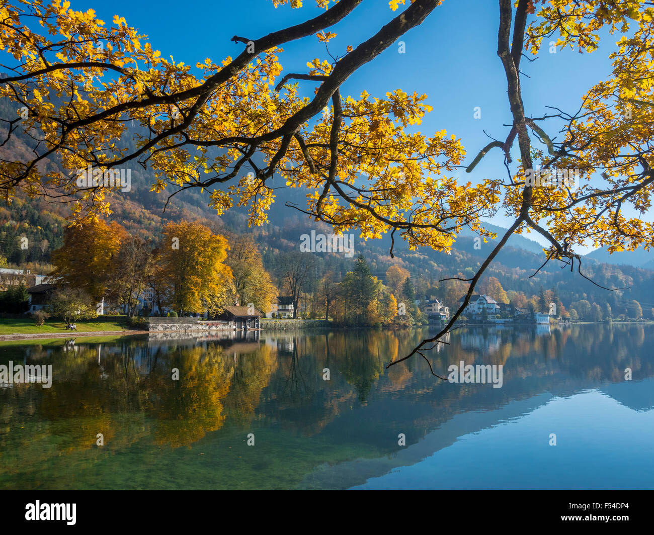 Autumn at Lake Kochel or Kochelsee Lake, Kochel am See, Upper Bavaria, Bavaria, Germany, Europe ...