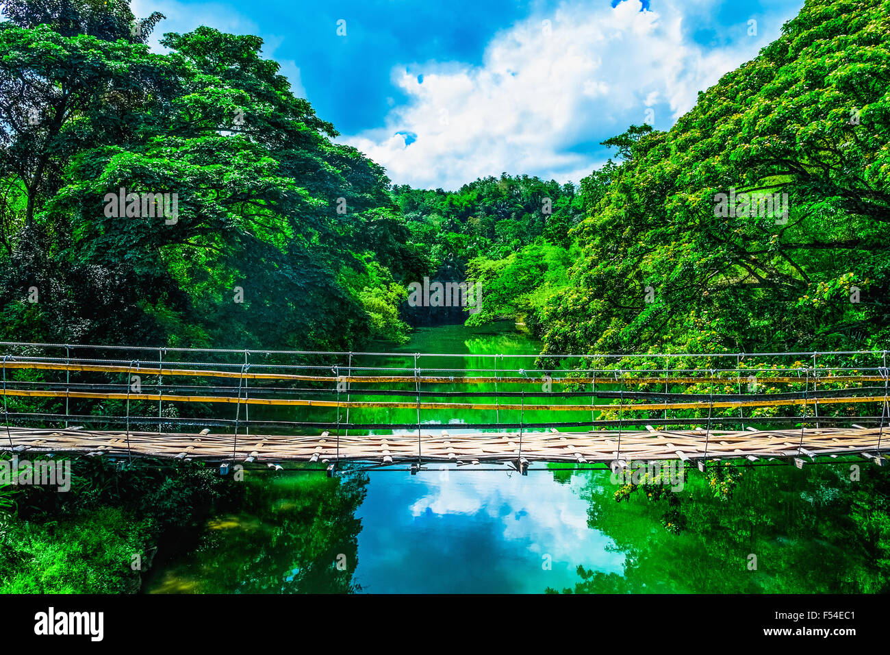 Bamboo pedestrian suspension bridge over river in jungle, Bohol ...