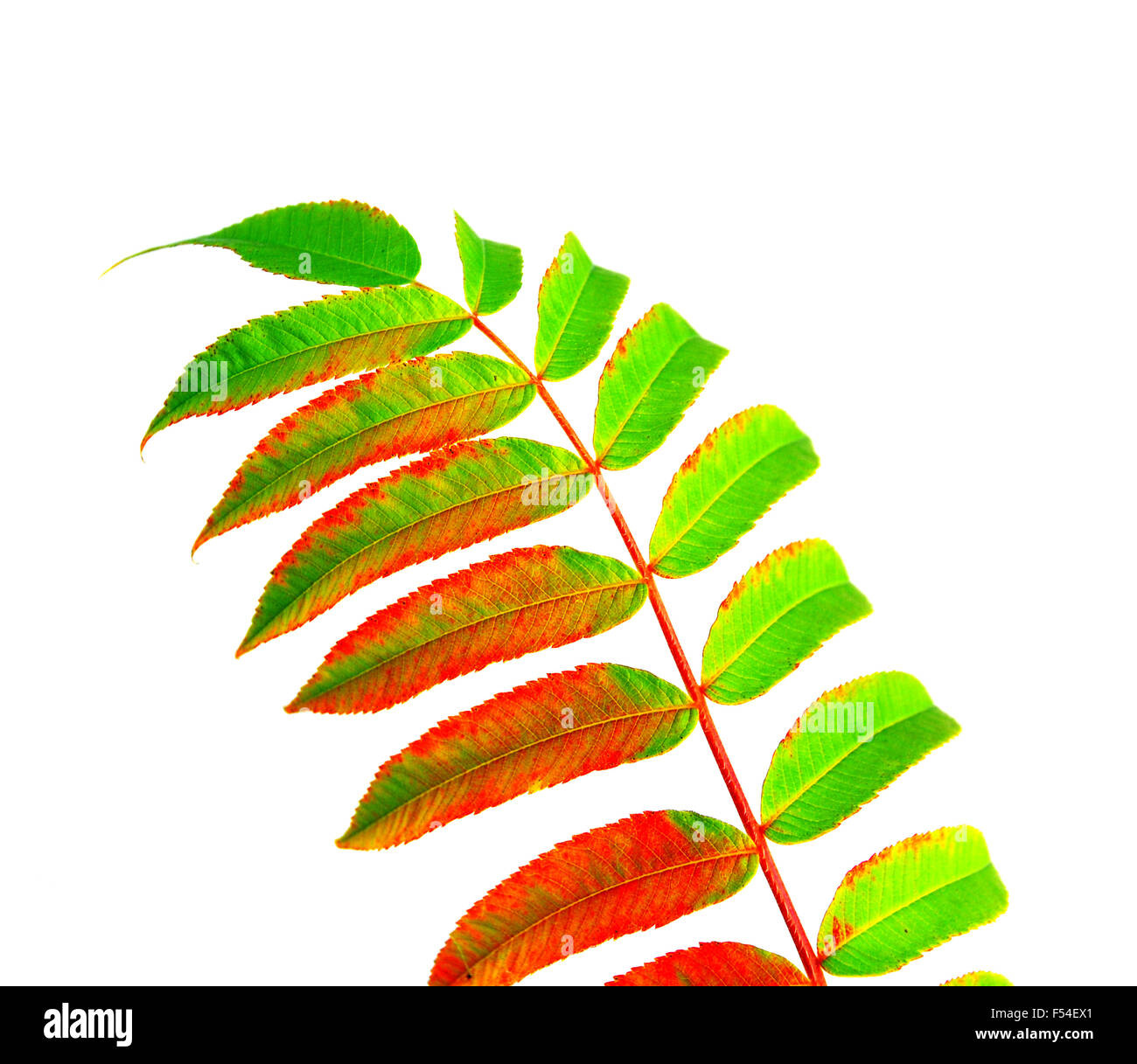 Abstract rust Cut Out Stock Images & Pictures - Alamy