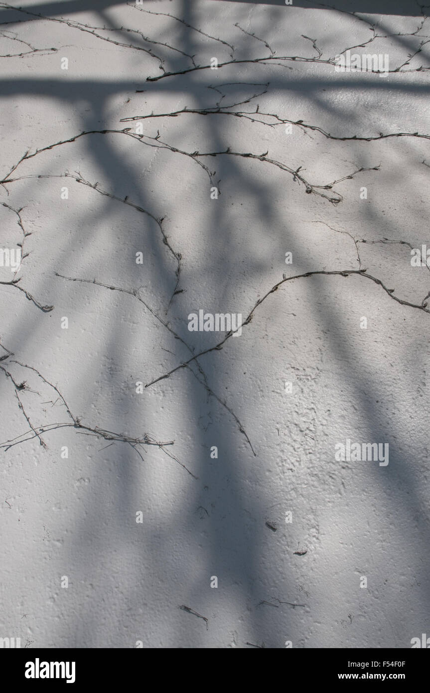 Vertical image of light and shadows on concrete building surface Stock ...