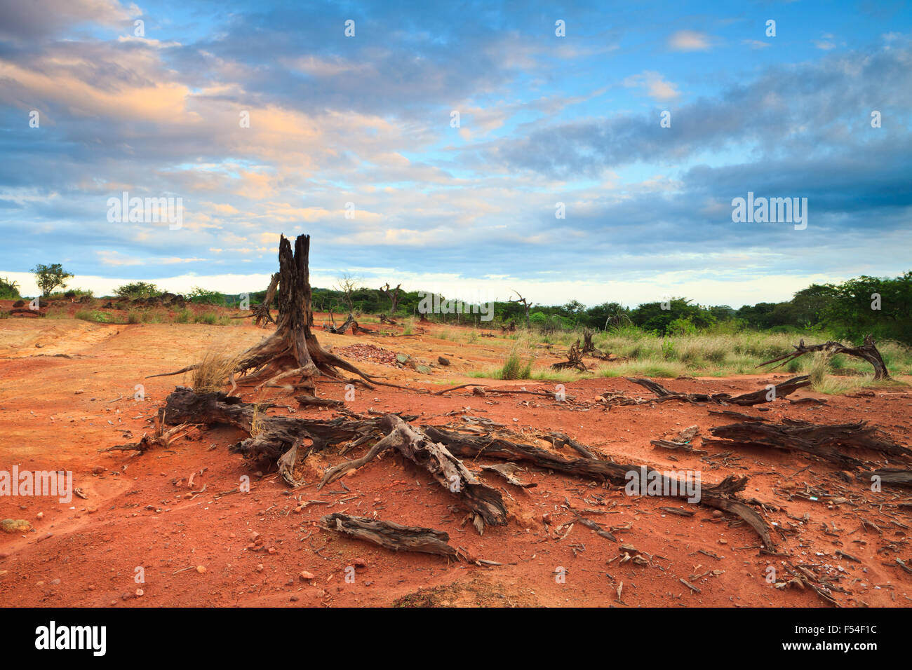 Parque nacional sarigua panama hi-res stock photography and images - Alamy