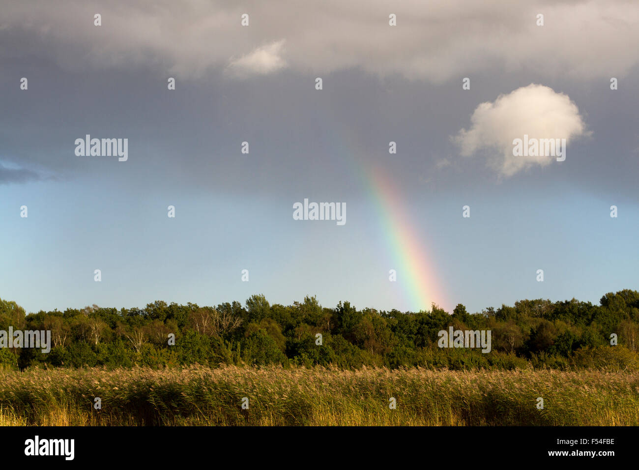 Rainbow sweden hi-res stock photography and images - Alamy