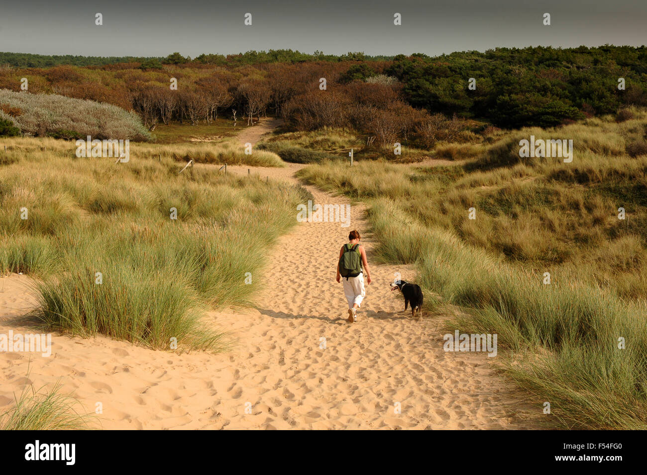 Formby National Trust High Resolution Stock Photography and Images - Alamy