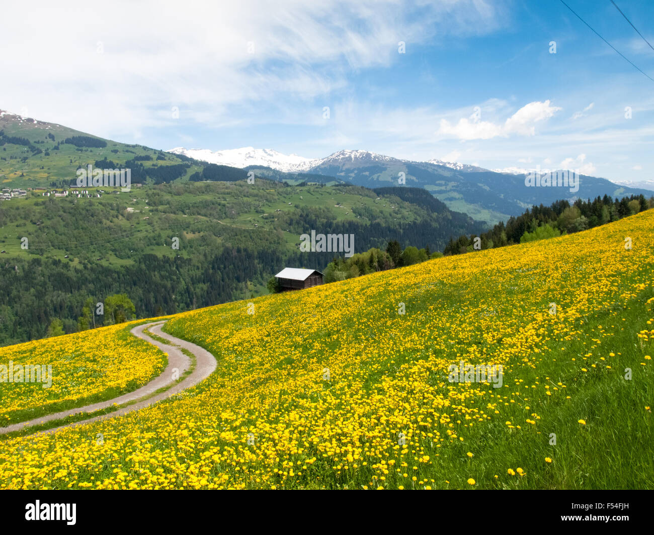 Surselva switzerland valley view hi-res stock photography and images ...