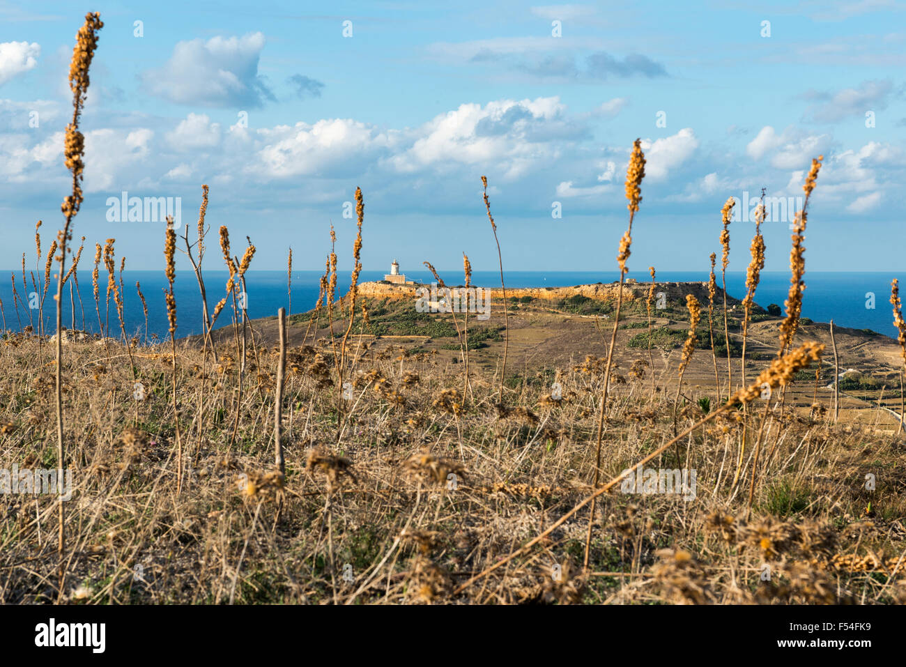 Malta gozo lighthouse hi-res stock photography and images - Alamy