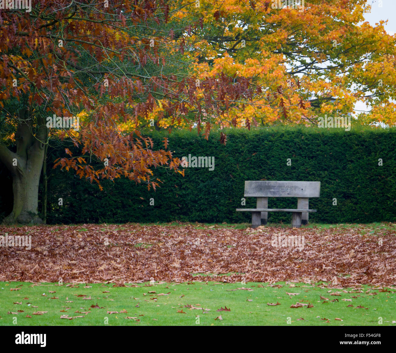 Danbury lakes hi-res stock photography and images - Alamy