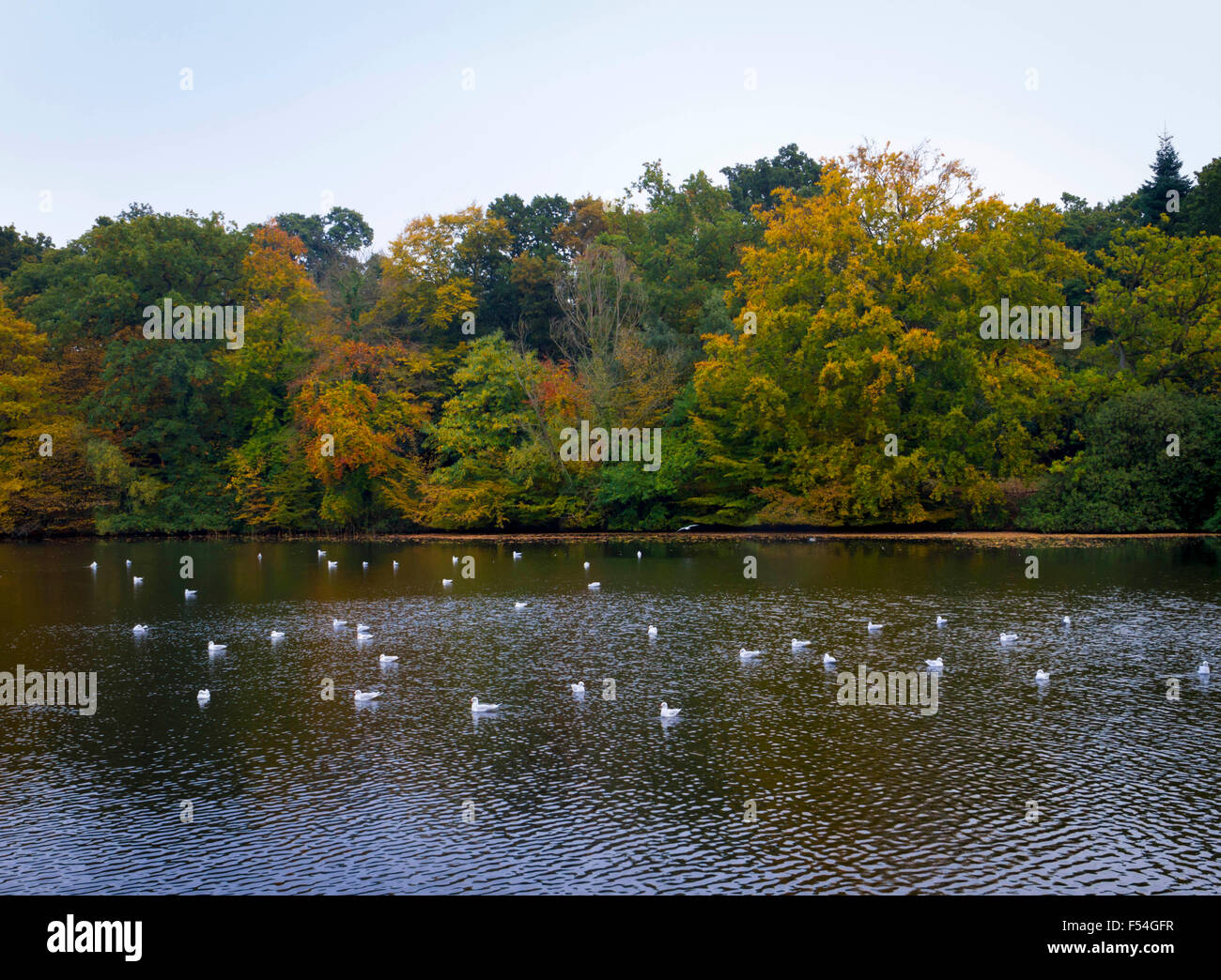 Danbury lakes hi-res stock photography and images - Alamy
