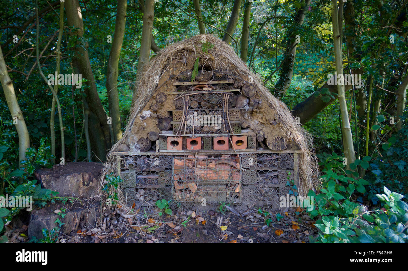 Bug hotel hi-res stock photography and images - Alamy