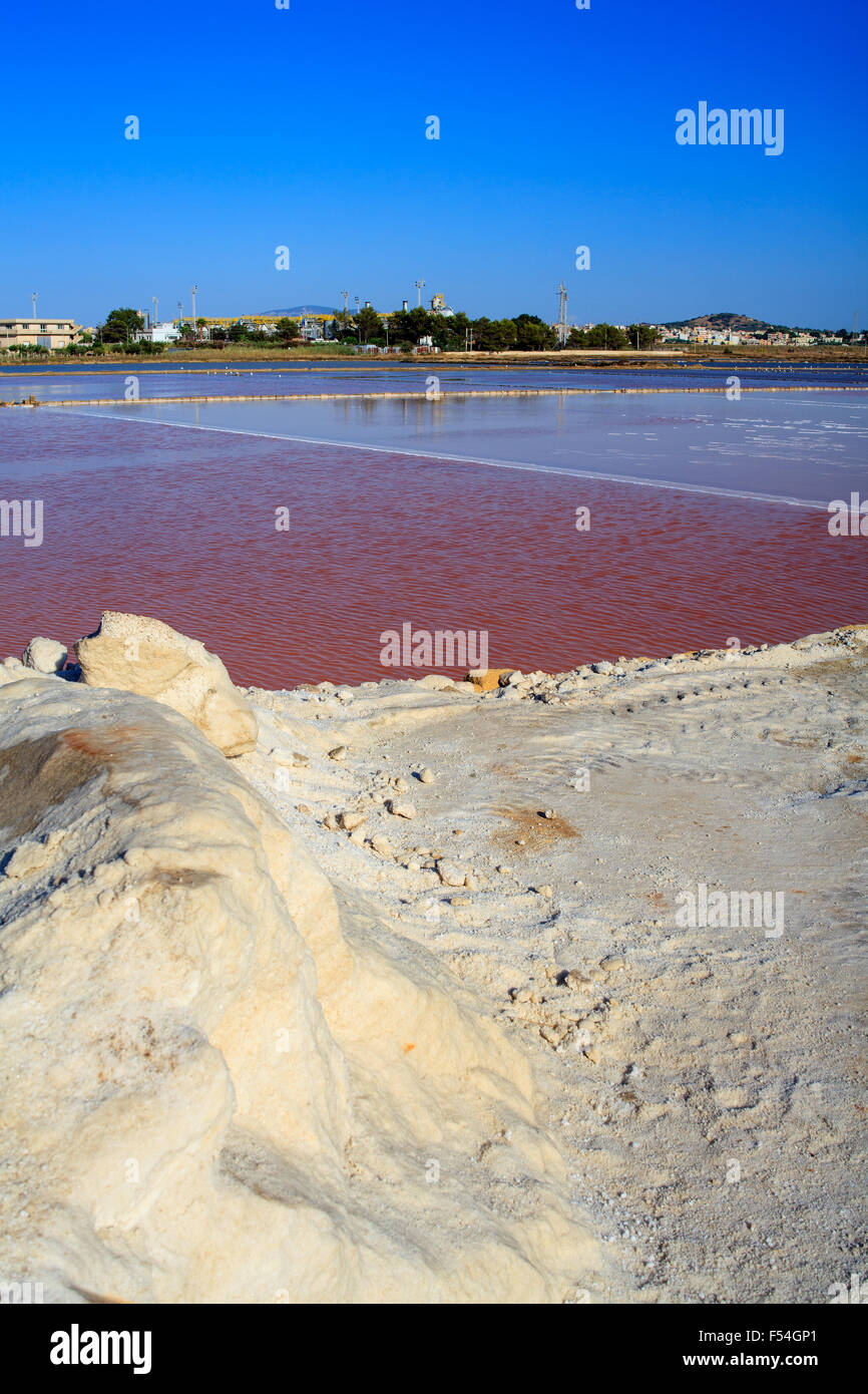 Red salt water bacteria hi-res stock photography and images - Alamy