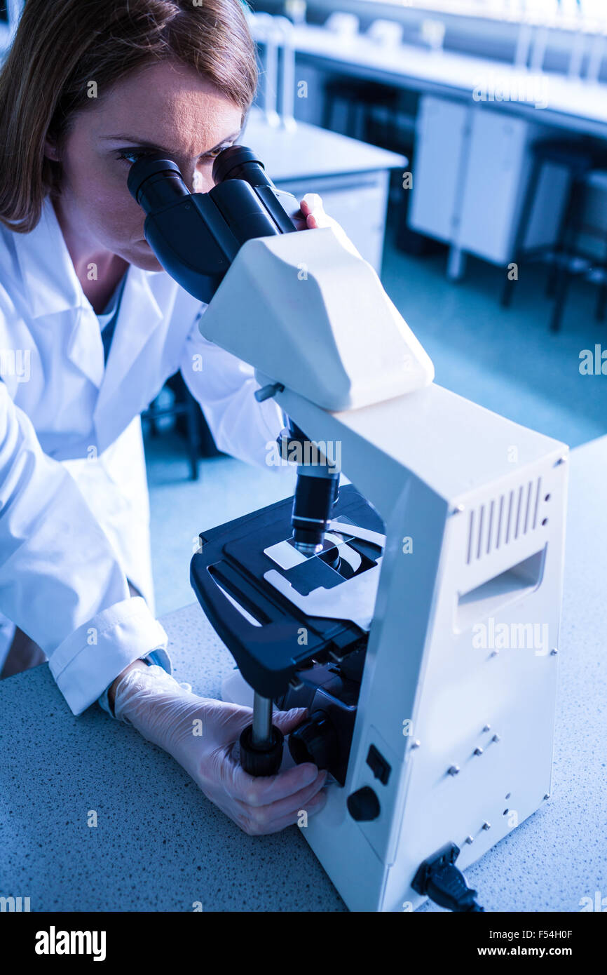 Scientist working with a microscope in laboratory Stock Photo - Alamy