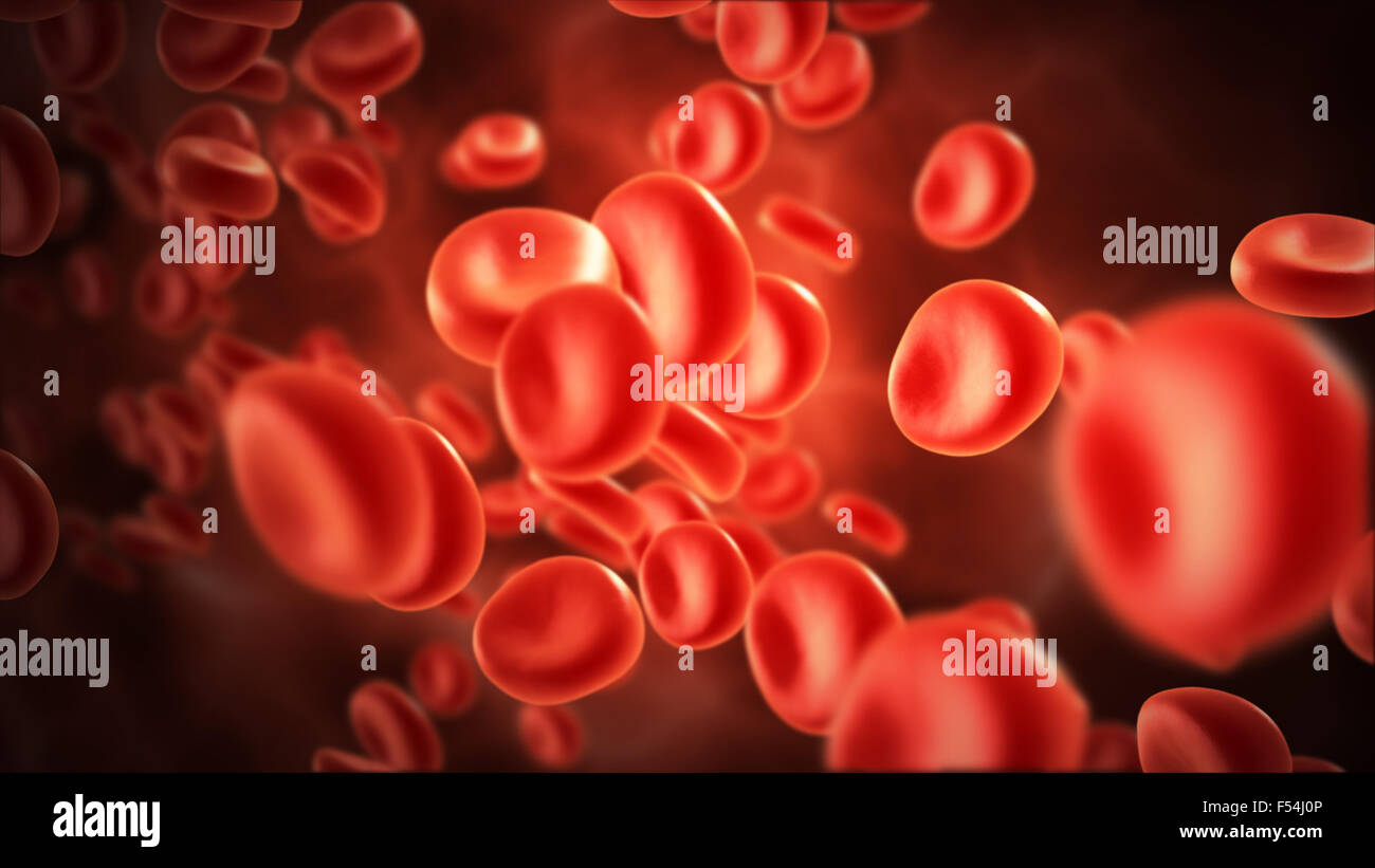 Human blood cells microscope hi-res stock photography and images - Alamy