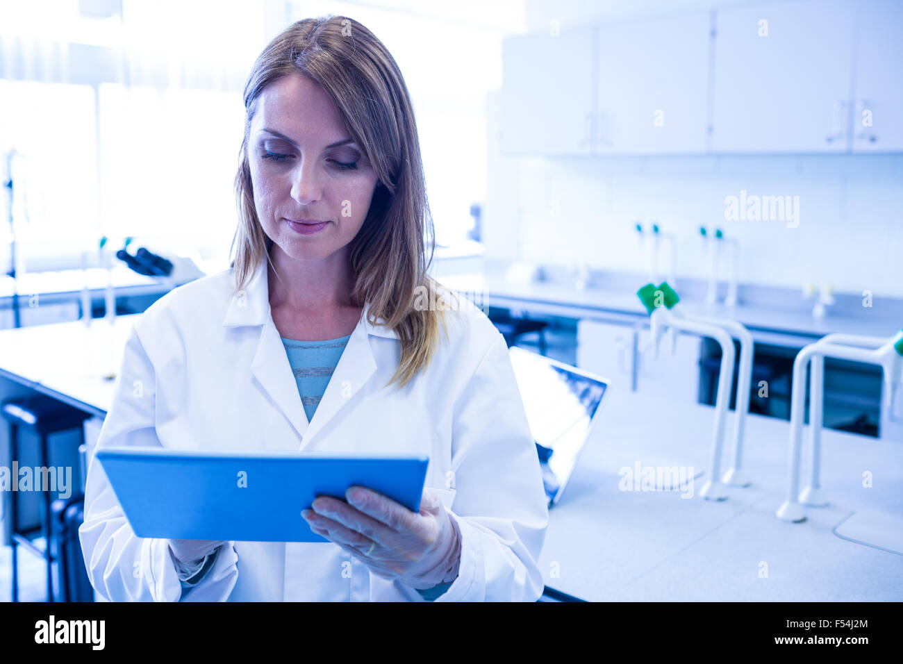 Scientist working in the laboratory Stock Photo - Alamy