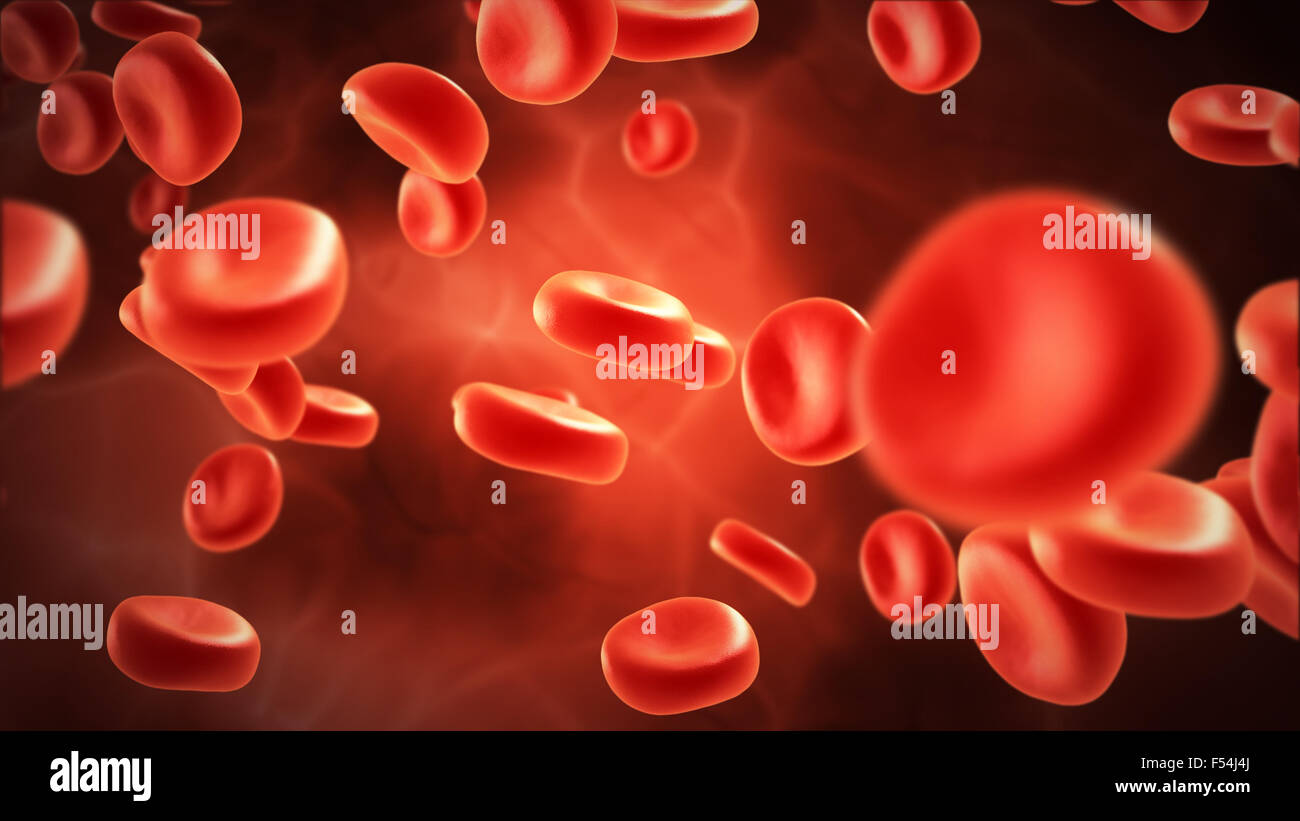 streaming blood cells in vein with depth of field Stock Photo - Alamy