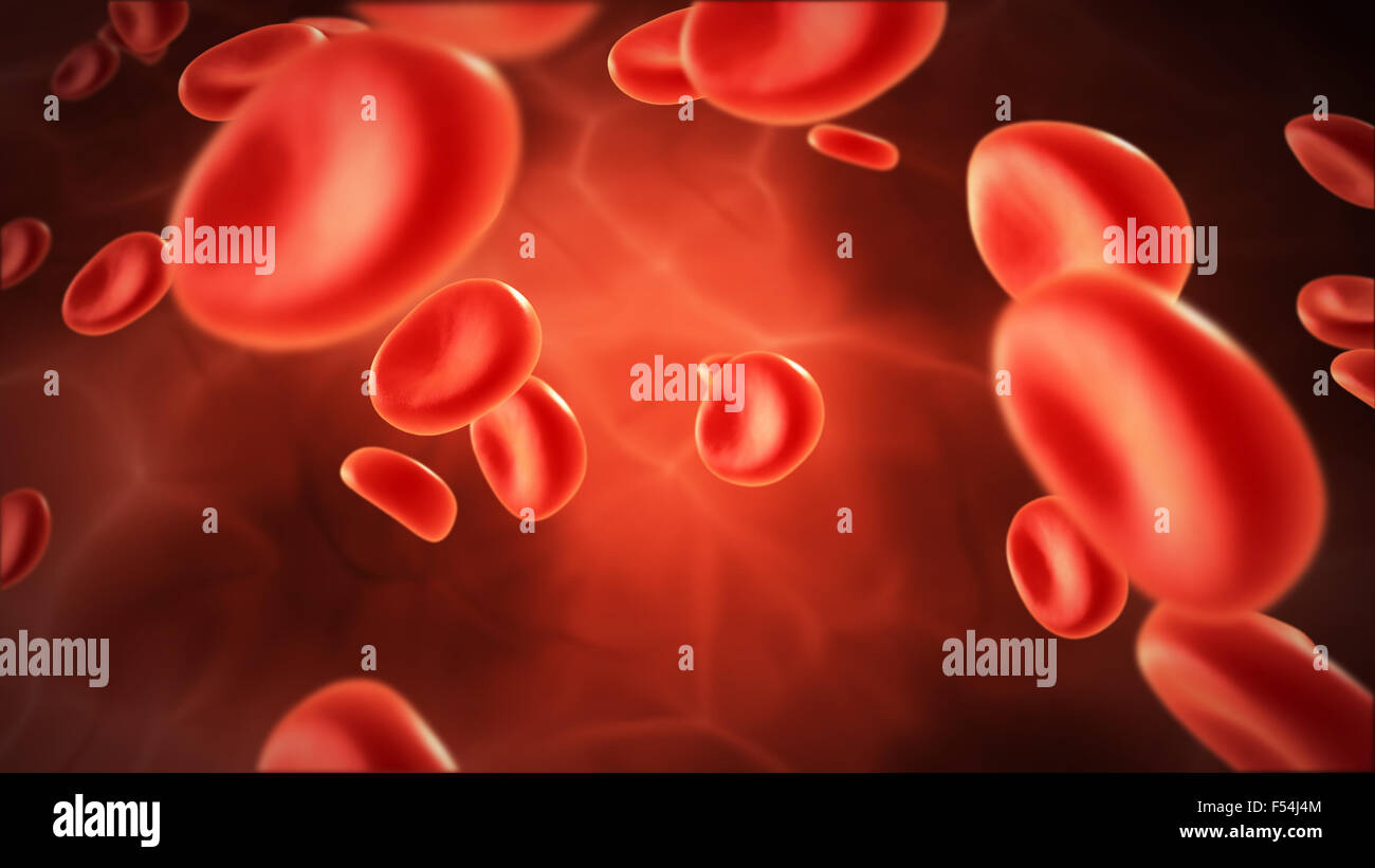 streaming blood cells in vein with depth of field Stock Photo - Alamy