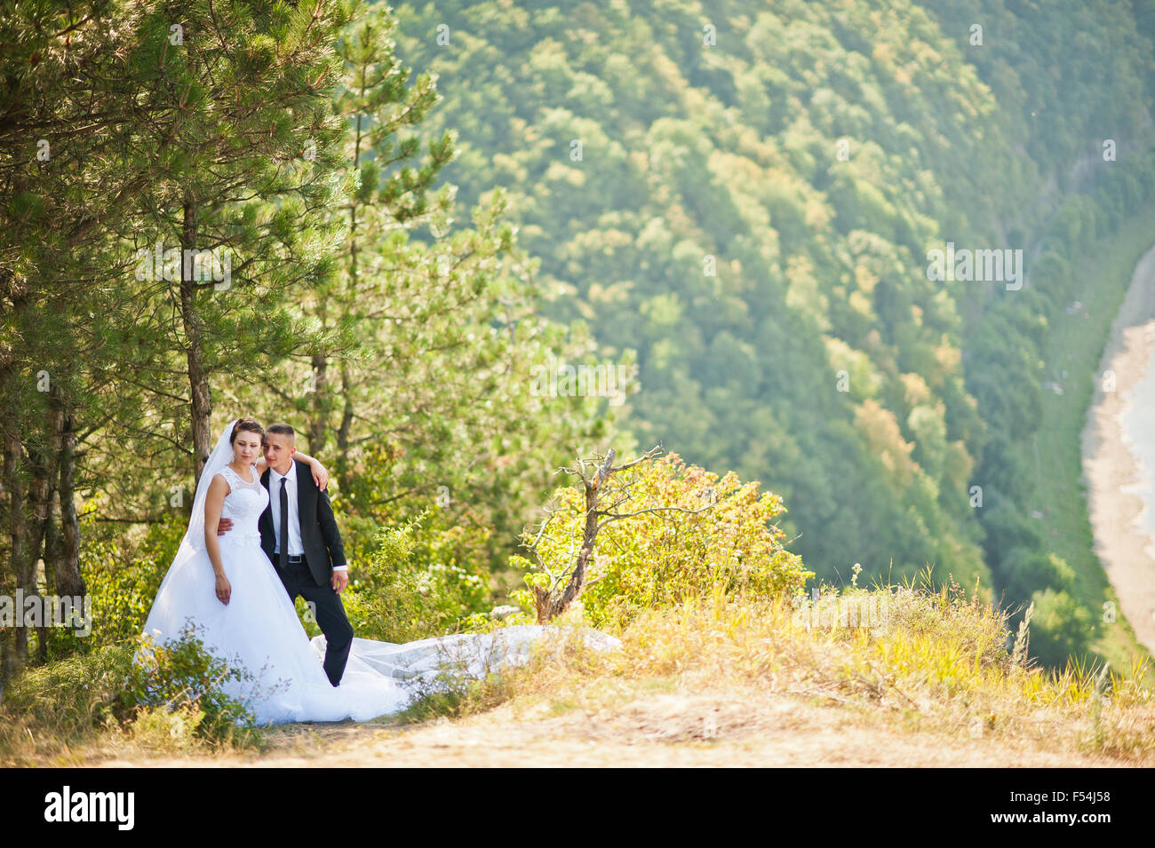 wedding couple on panorama of city and river. bride with long veil ...