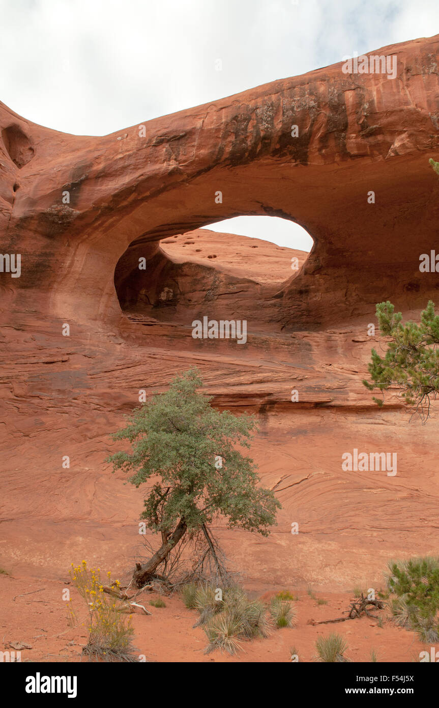 Cultural mystery hi-res stock photography and images - Alamy