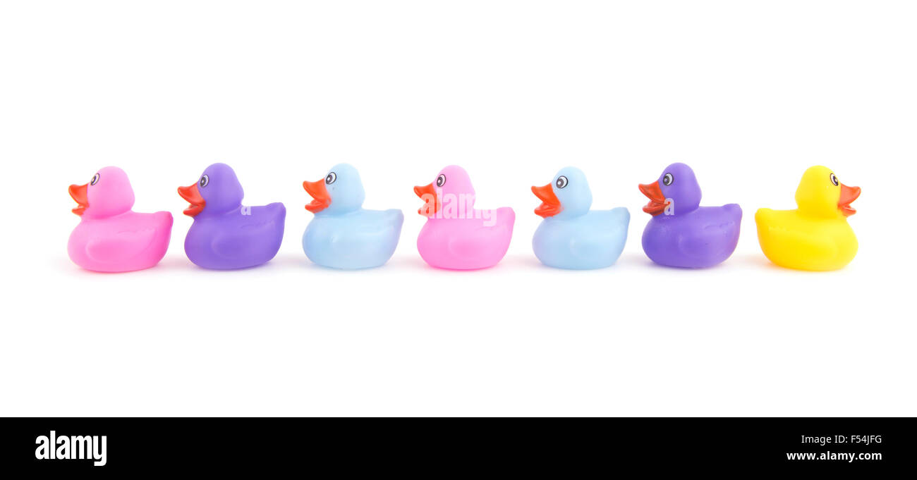 Ducks row hi-res stock photography and images - Alamy