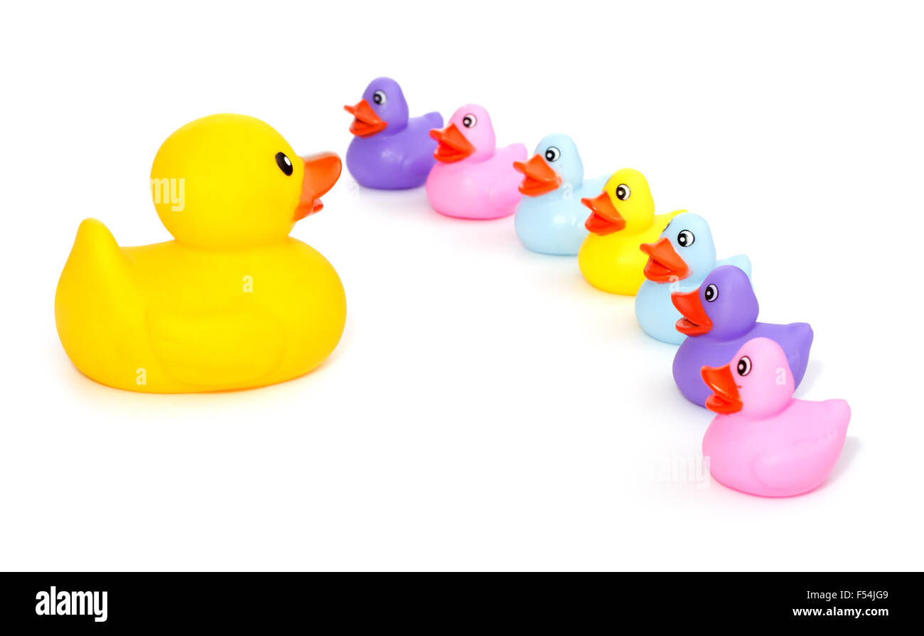 Big rubber duck speaking in front of little rubber ducklings - concept ...