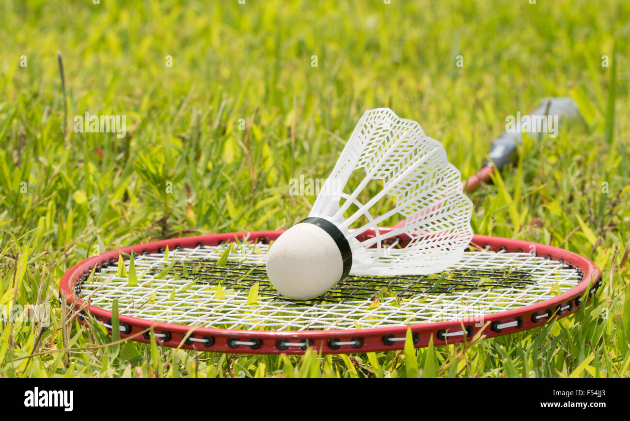Badminton racquet with a shuttlecock on top in summer grass Stock Photo ...