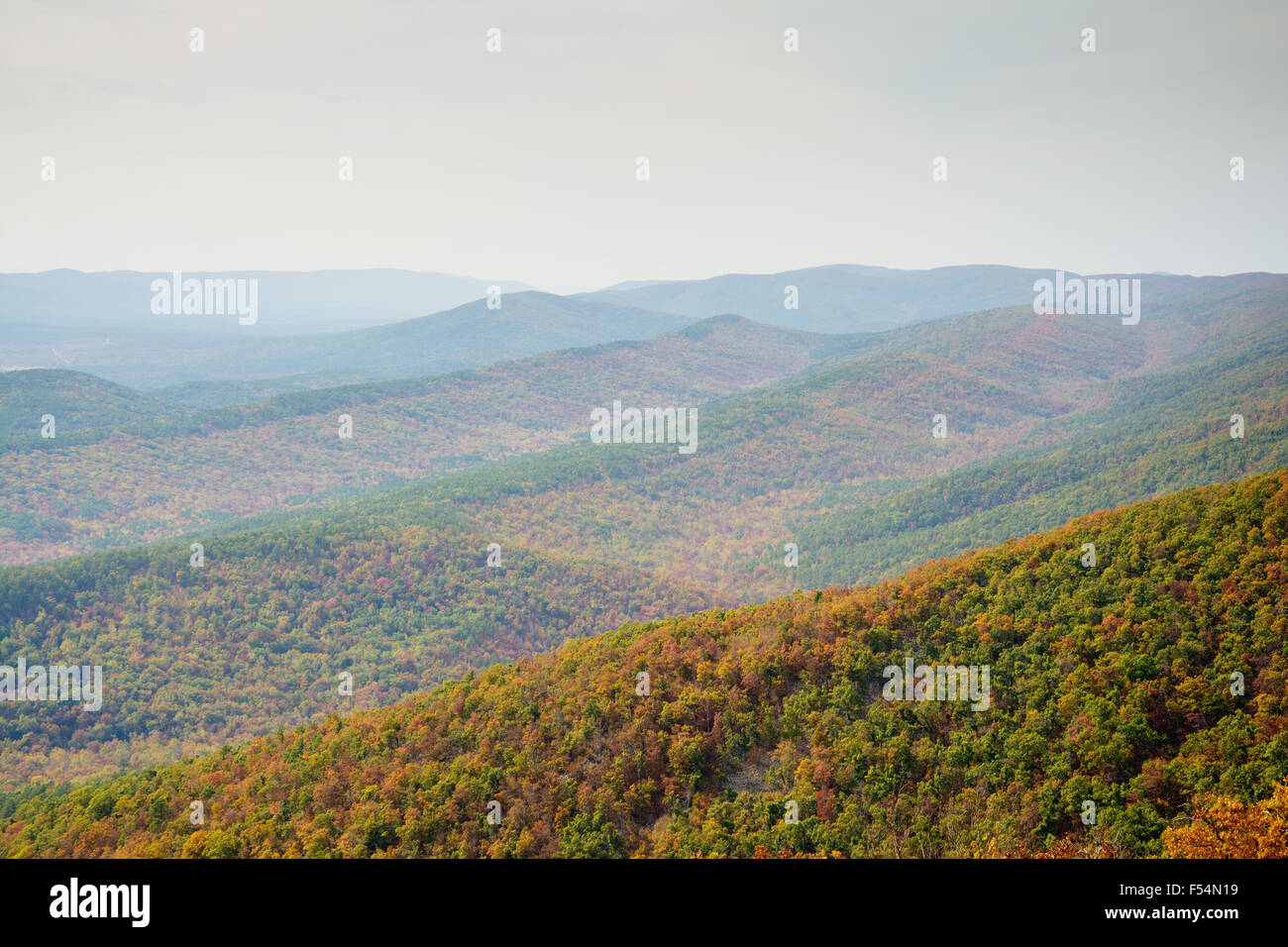 View across mountain ridges in Ouachita National Forest Stock Photo - Alamy