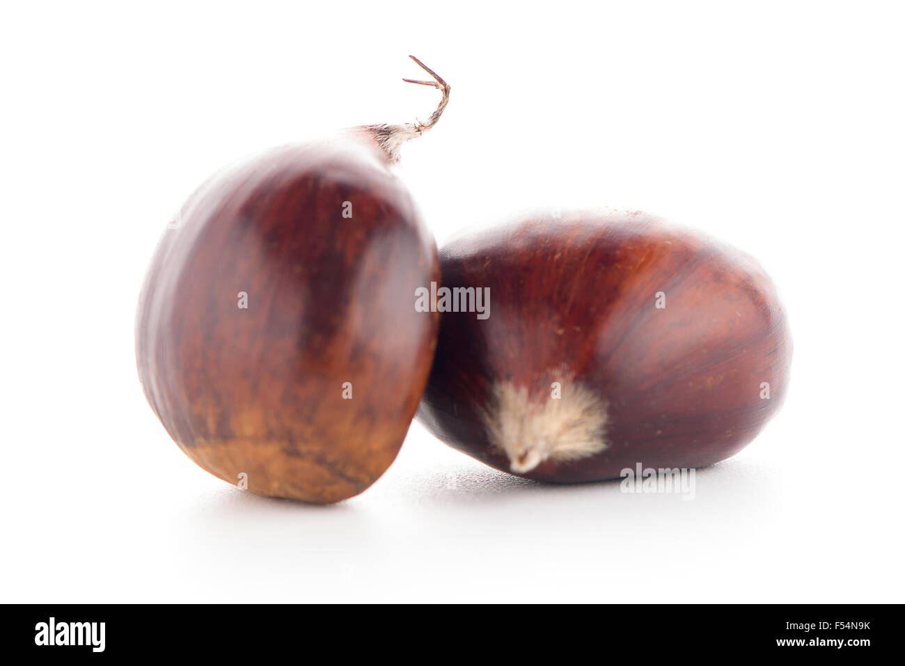 Chestnuts with shell isolated on white background Stock Photo - Alamy