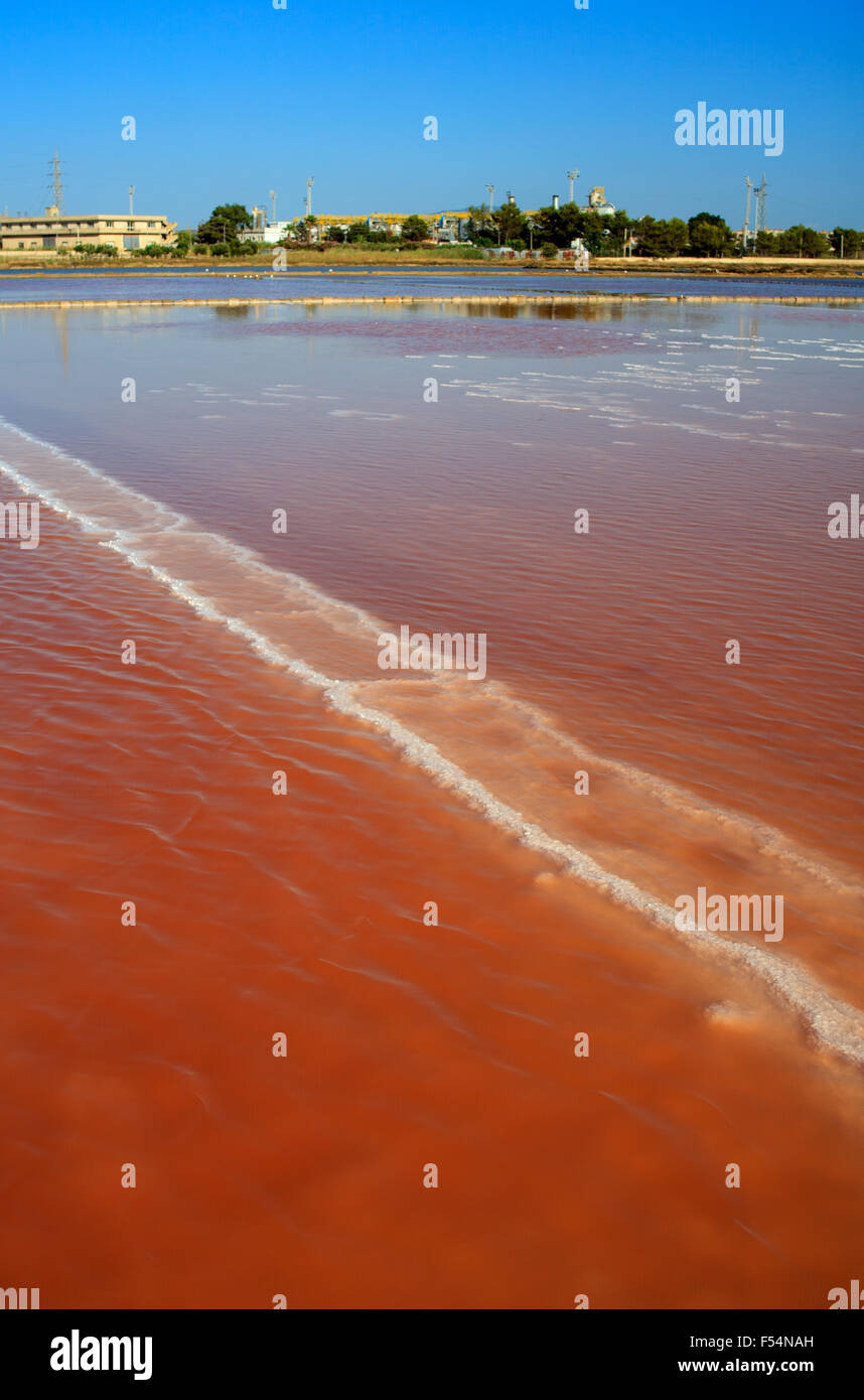 Red salt water bacteria hi-res stock photography and images - Alamy