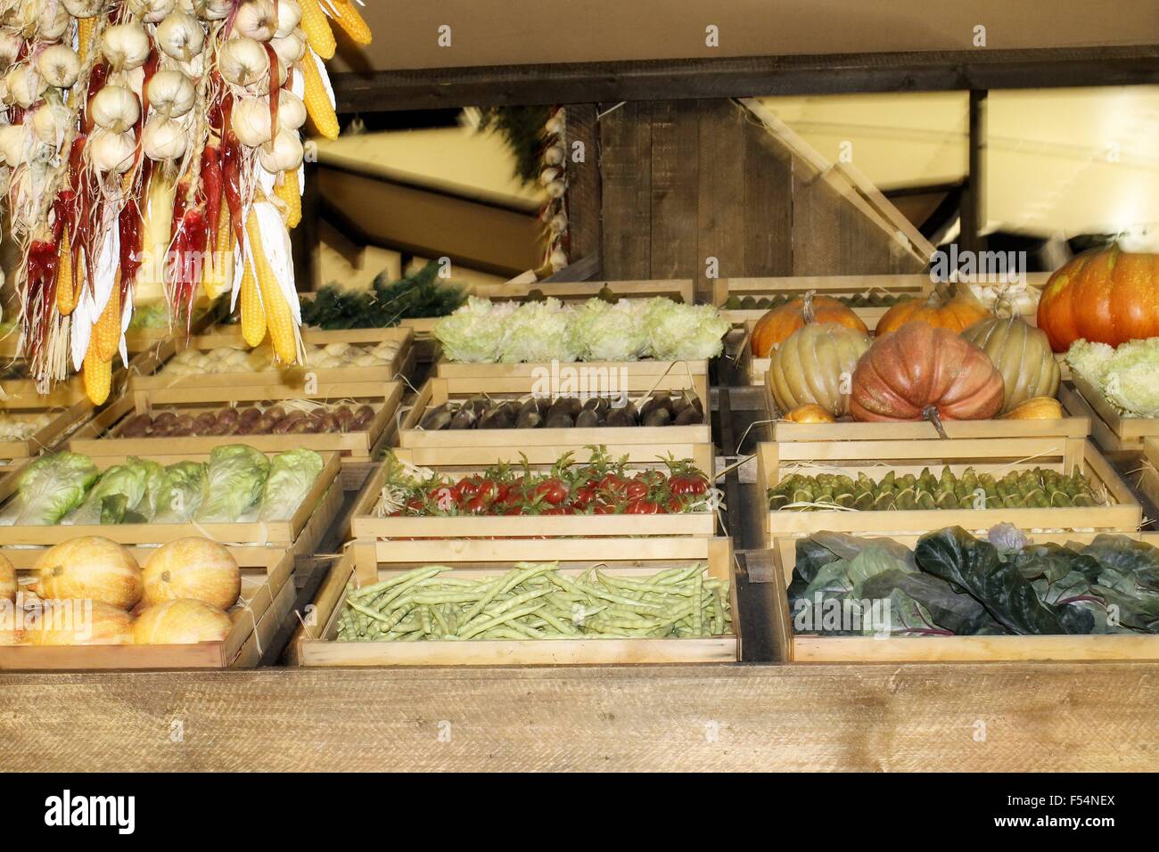 Vegetable expo hi-res stock photography and images - Alamy