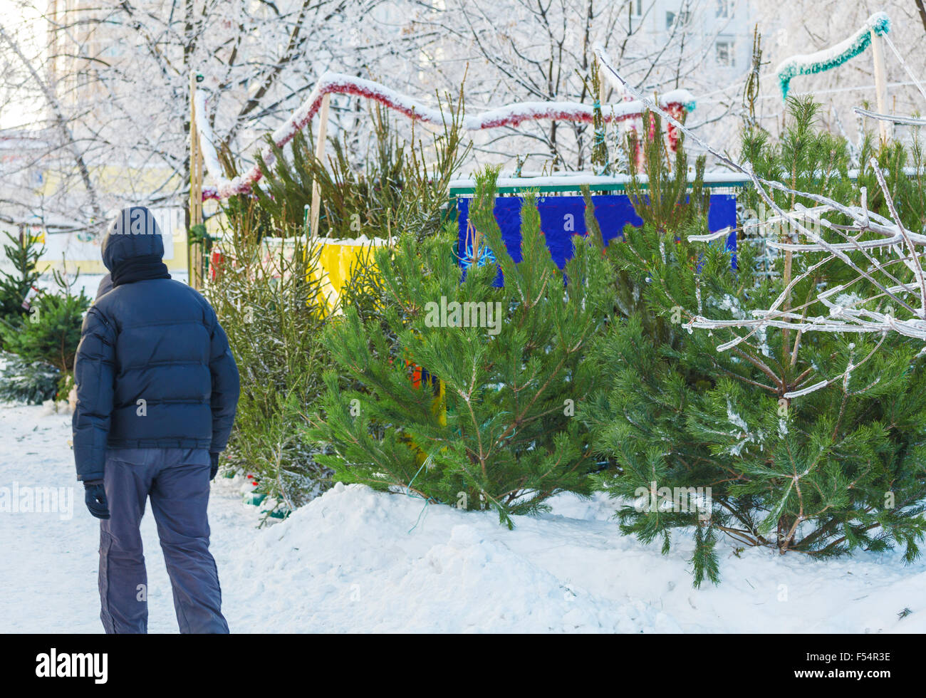 Outdoor Selling of Christmas Trees Stock Photo - Alamy